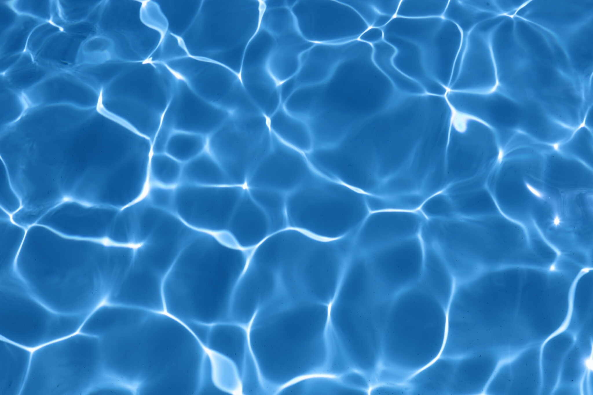 Pool Gallery | Perfect 10 Pools in Toledo, OH